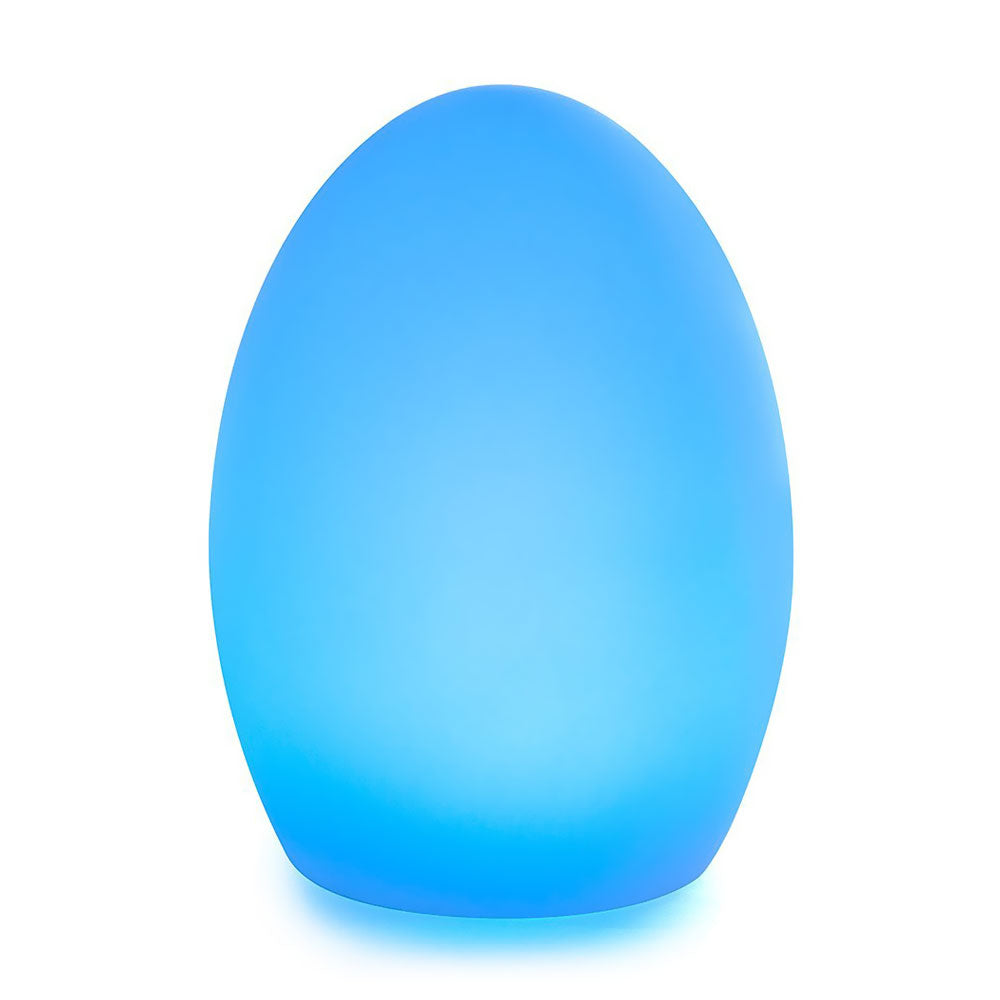 8-inch LED Mood Egg Light for home restaurant coffee shop table decor ...